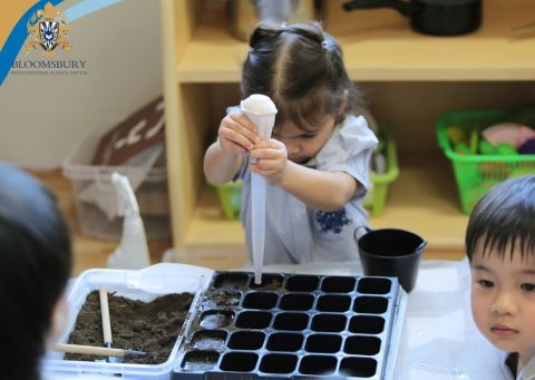 Exploring, Experimenting, and Creating: A Joyful Start to EYFS STEAM ...